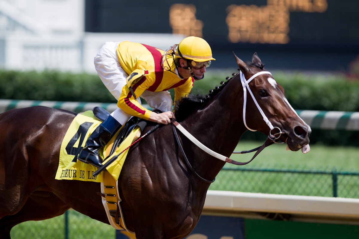 Favourite Horse: Rachel Alexandra | Horseracing – International . COM