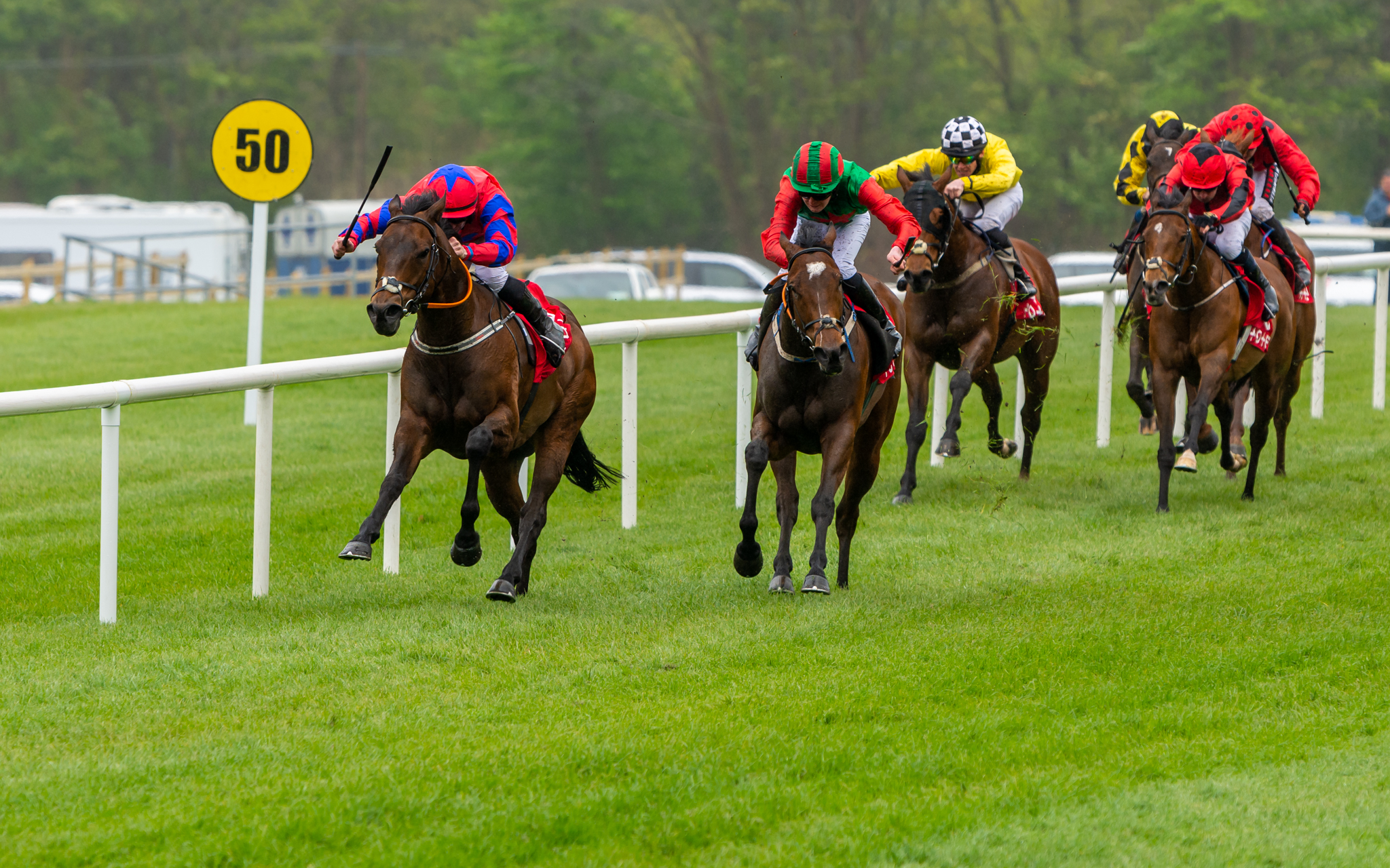 Flat Horses To Follow 2023: 3-year-old Handicappers | Horseracing ...